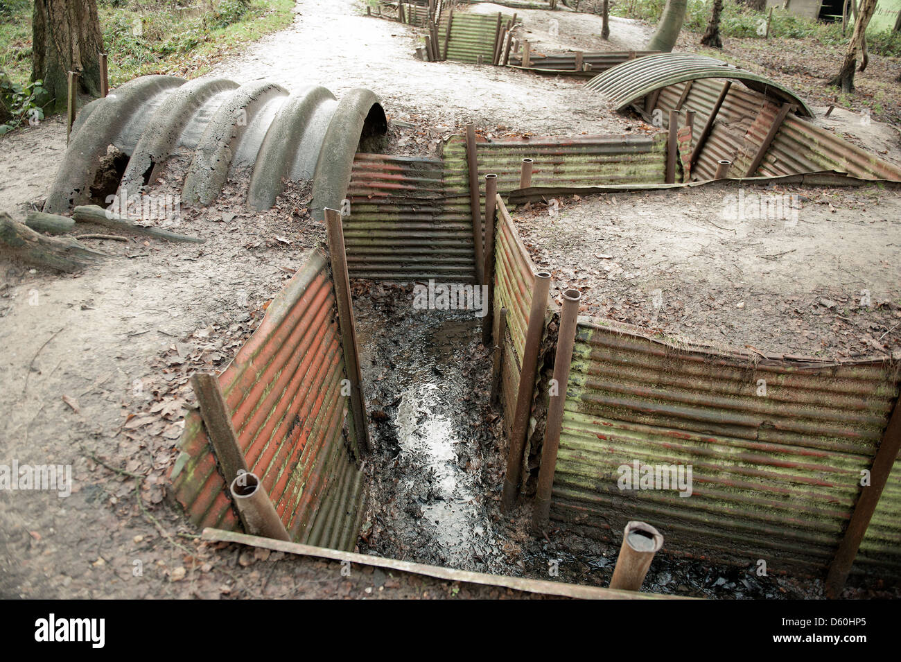 The World War One trench system at Sanctuary Wood near Ypres in Belgium ...