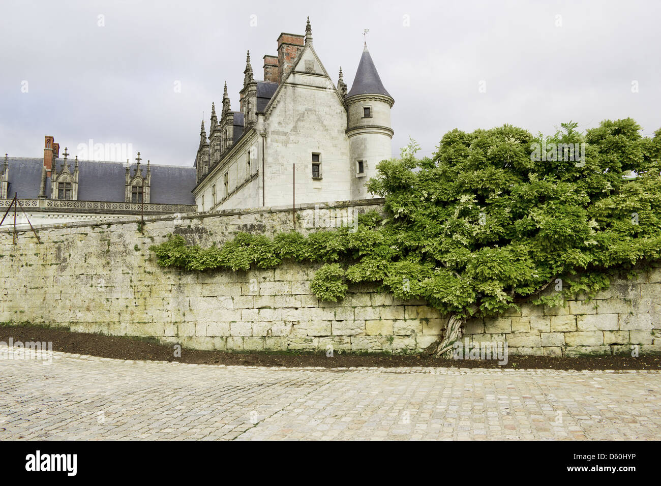 Castle architecture history tree hi-res stock photography and images ...