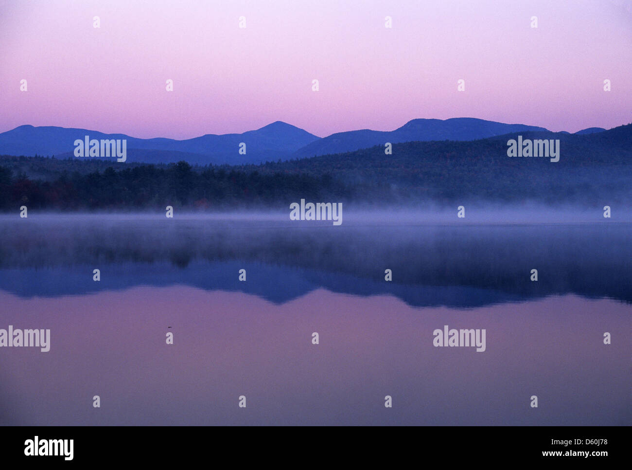 Elk281 1354 hi-res stock photography and images - Alamy