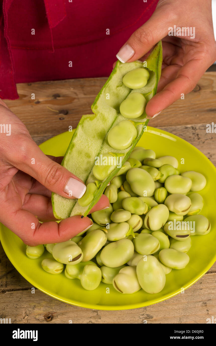 Female hands peeling beans out of their pod Stock Photo - Alamy