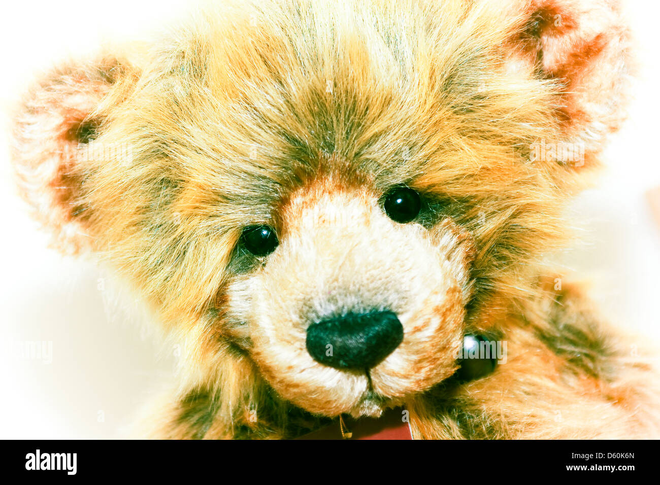 Golden coloured teddy bear hi-res stock photography and images - Alamy