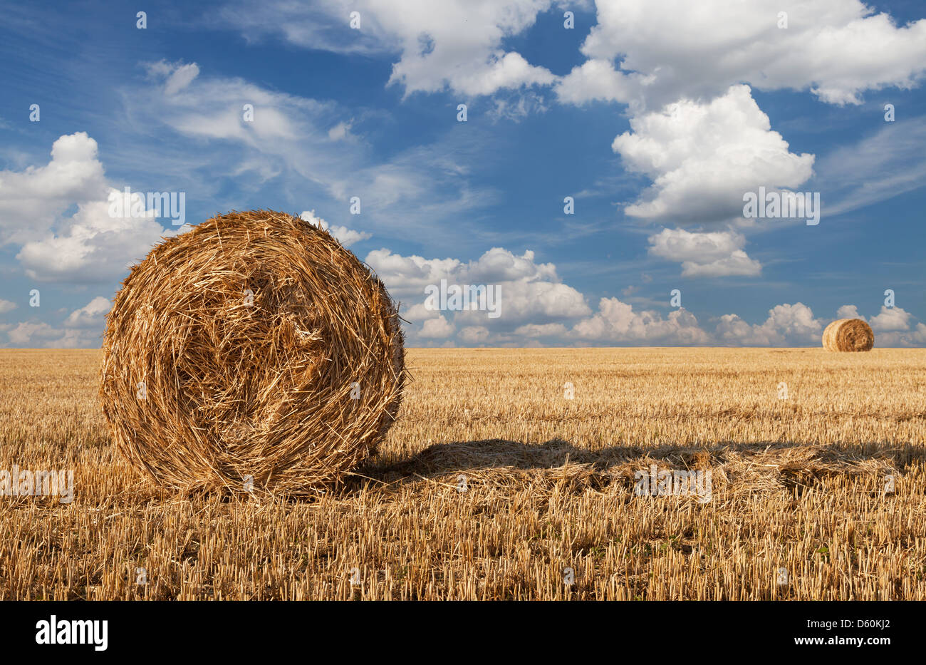 Field with hay bale Stock Photo - Alamy