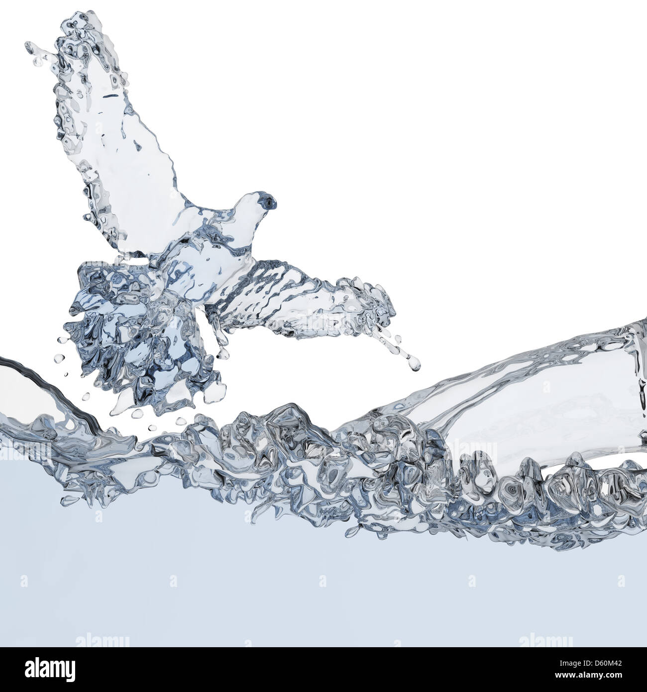 Pigeon of water Stock Photo - Alamy