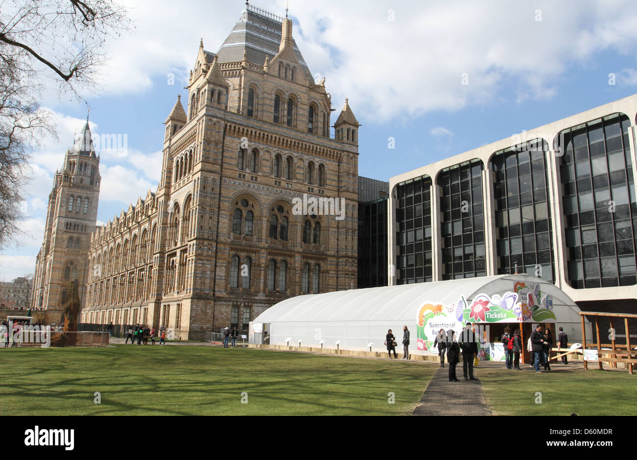 Sensational Butterflies exhibit Natural History Museum London UK April ...