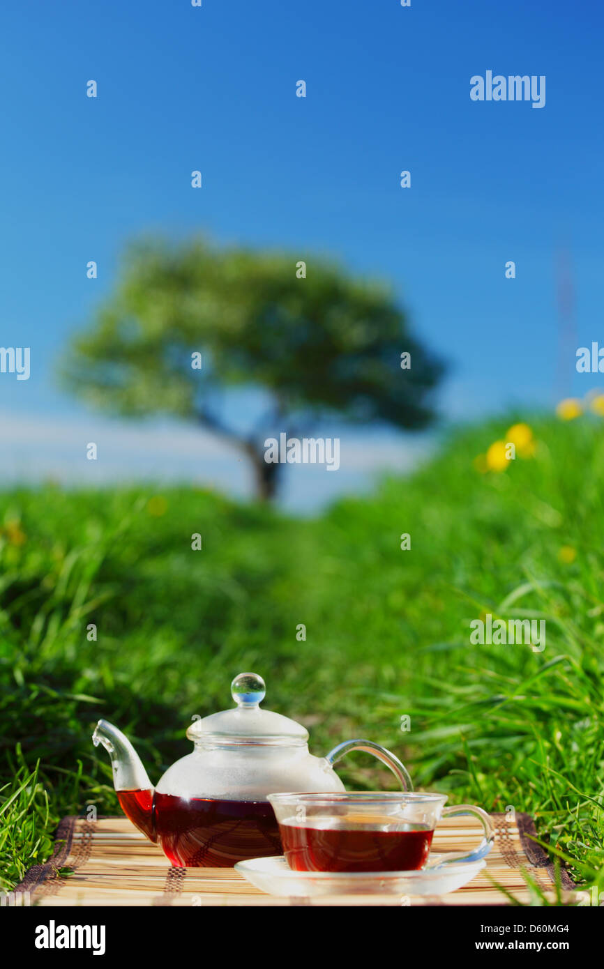 Natural tea on green grass Stock Photo - Alamy