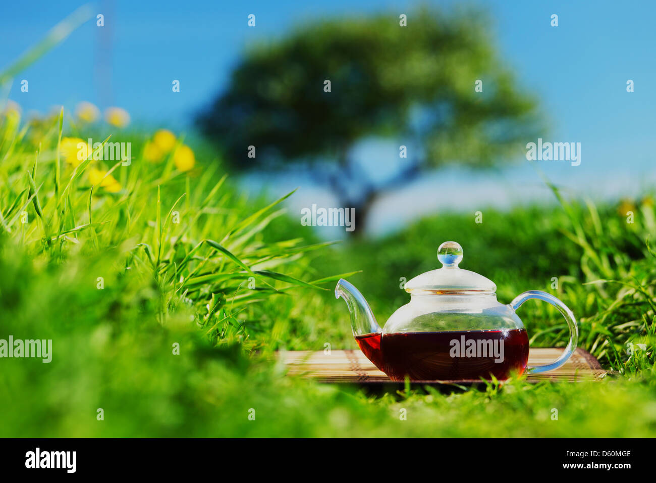 Big blue teapot hi-res stock photography and images - Alamy
