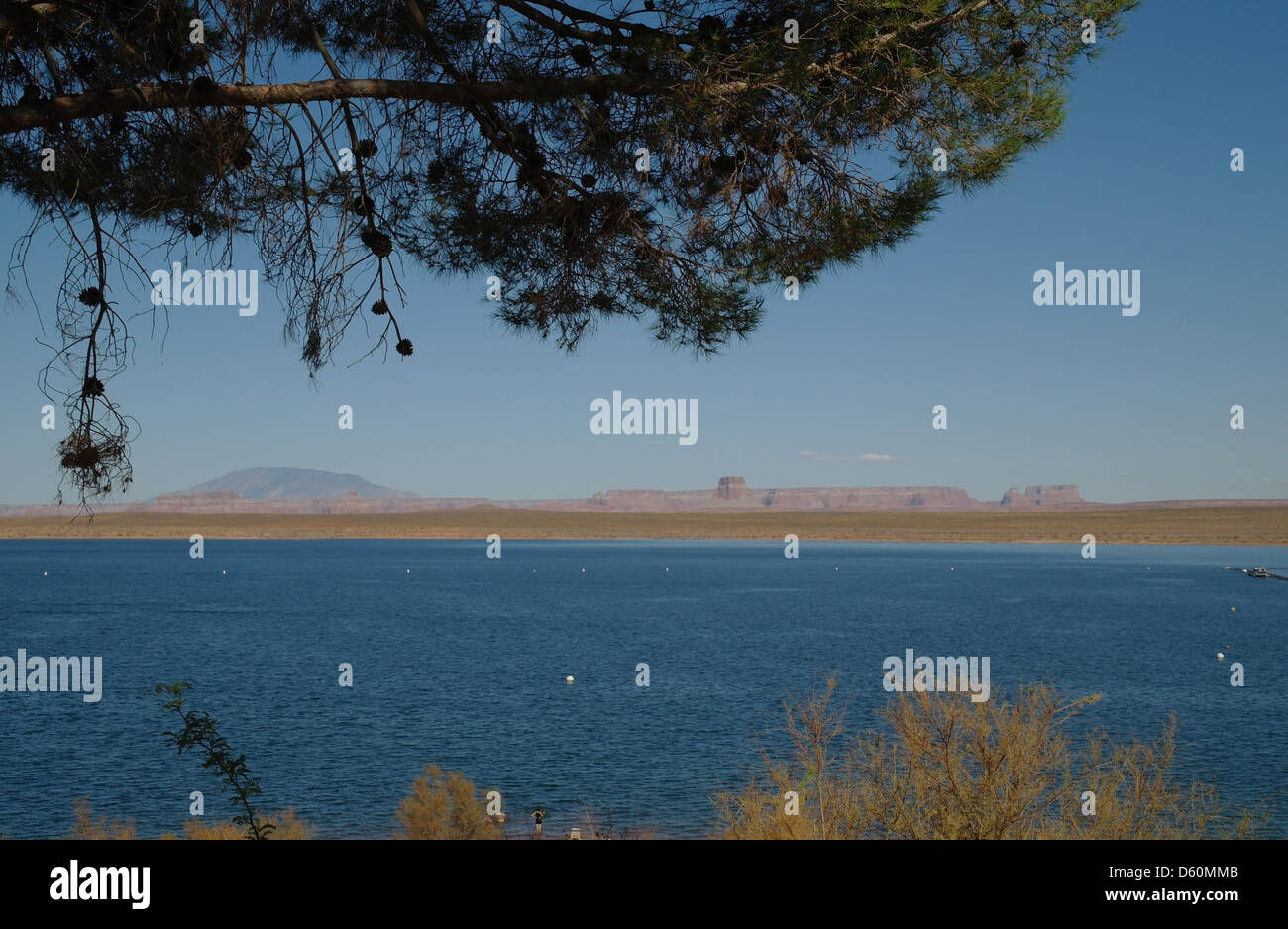 Blue sky view, from shoreline tree across waters Lake Powell to Navajo ...