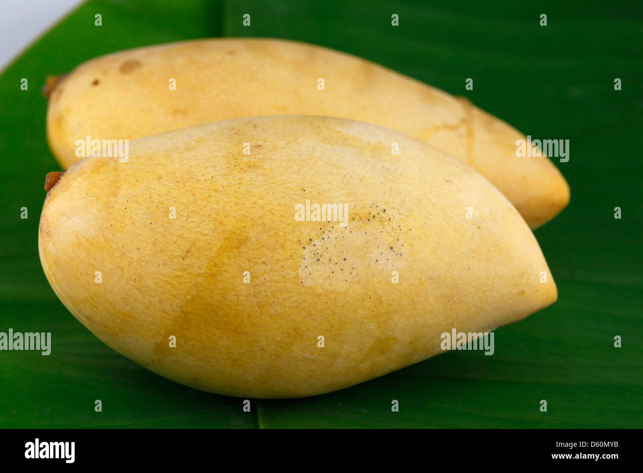 The yellow mango is Ripe is Sweet Stock Photo - Alamy