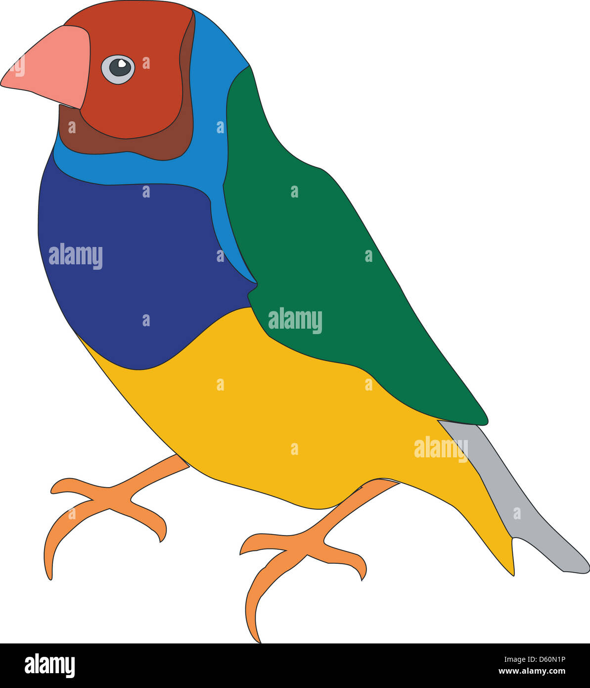 Parrot color 01 Stock Photo - Alamy