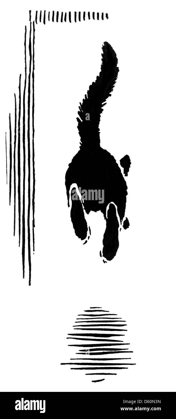 A historical image showcasing an 'Animal Hero' cat, likely part of a ...