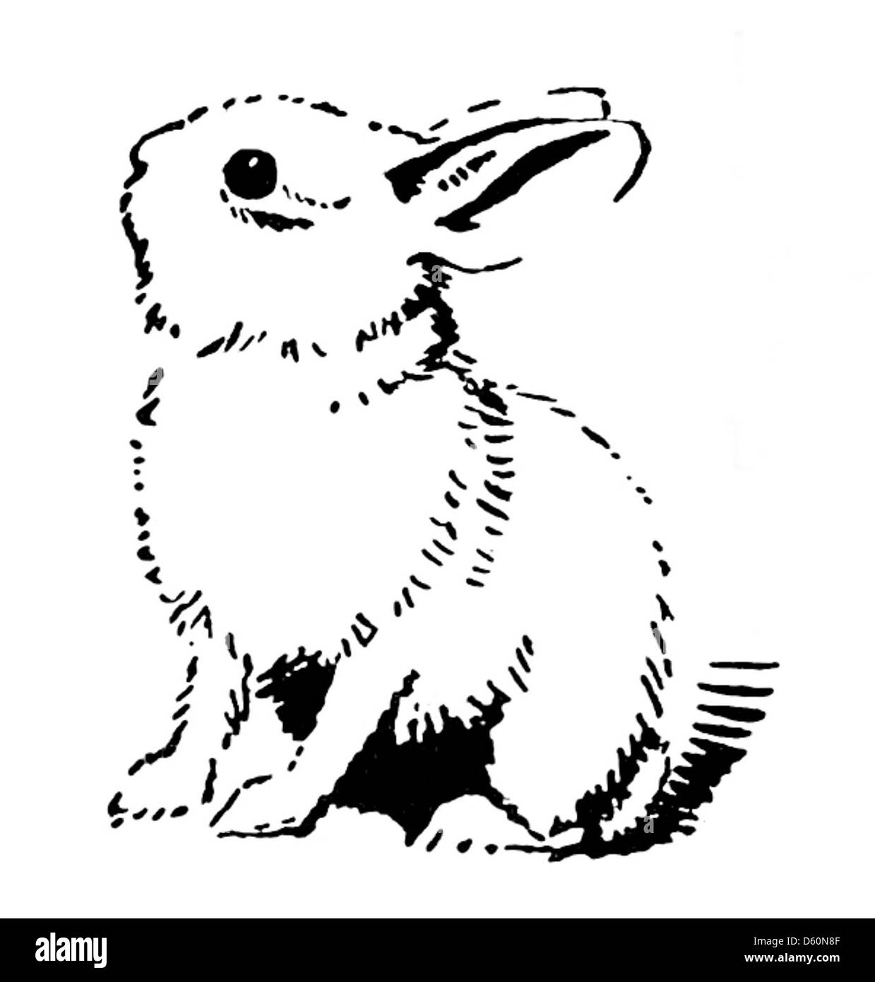 Various animal features Cut Out Stock Images & Pictures - Alamy