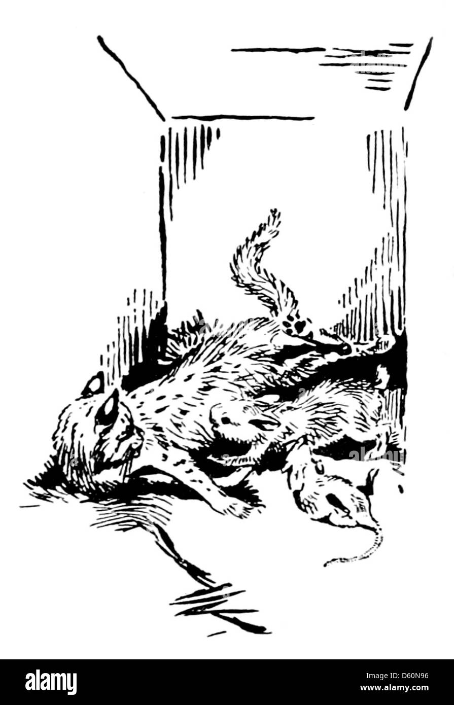 An illustration from 'Animal Heroes' depicting a cat in a heroic role ...