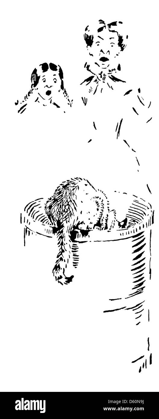 'Animal Heroes' is a collection of stories about remarkable animals ...