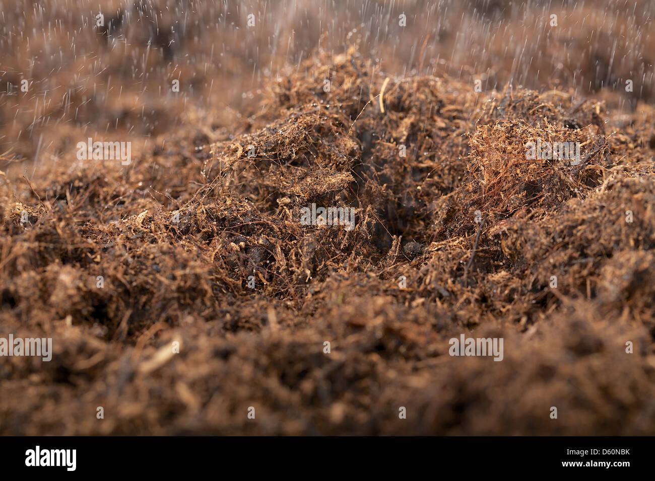 close-up of rain that falls on soil Stock Photo - Alamy