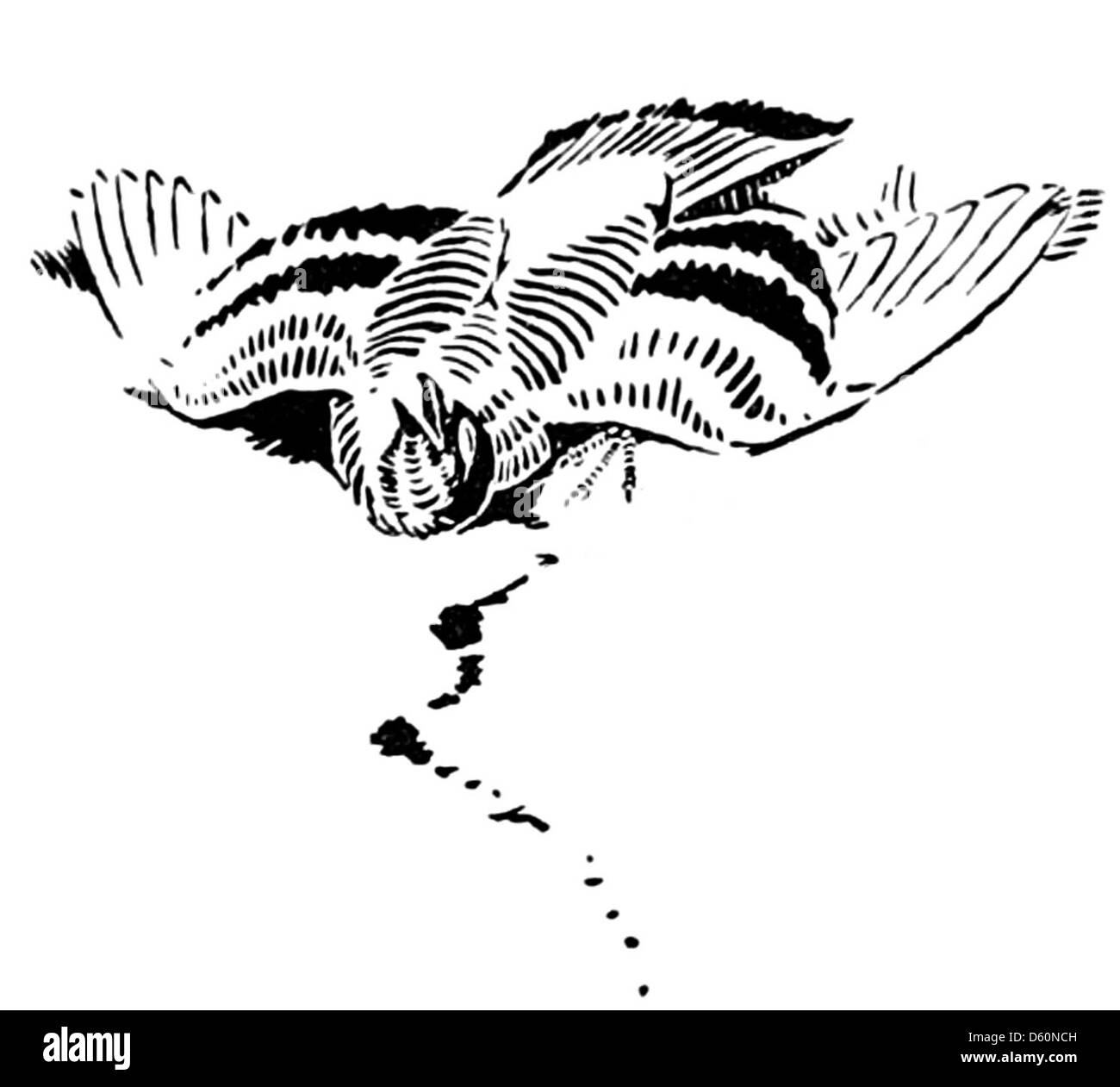 This image from 'Animal Heroes' portrays heroic animals, showcasing the ...