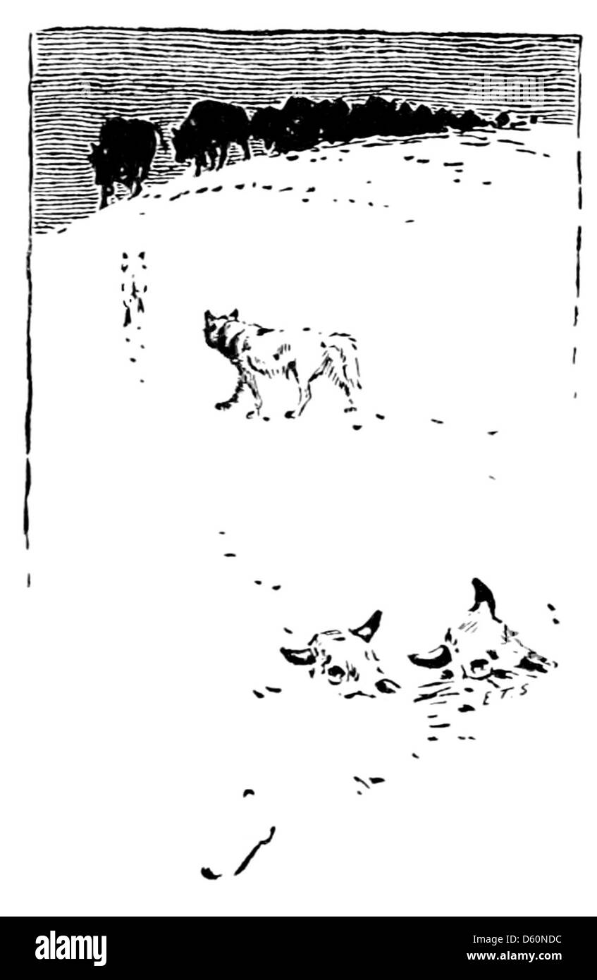 This image from 'Animal Heroes' depicts a heroic animal, symbolizing ...