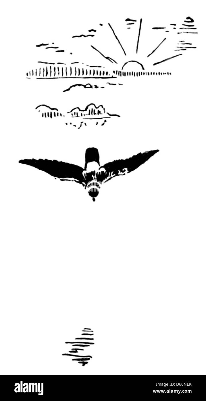 A photograph depicting a group of animal heroes celebrated for their ...