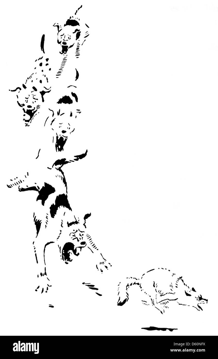 An illustration from *Animal Heroes*, a book featuring stories of ...