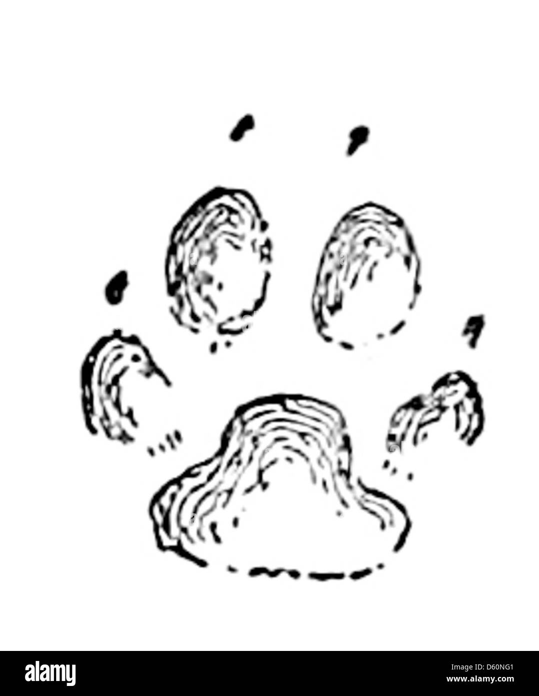 This image features a symbolic pawprint, likely representing an animal ...