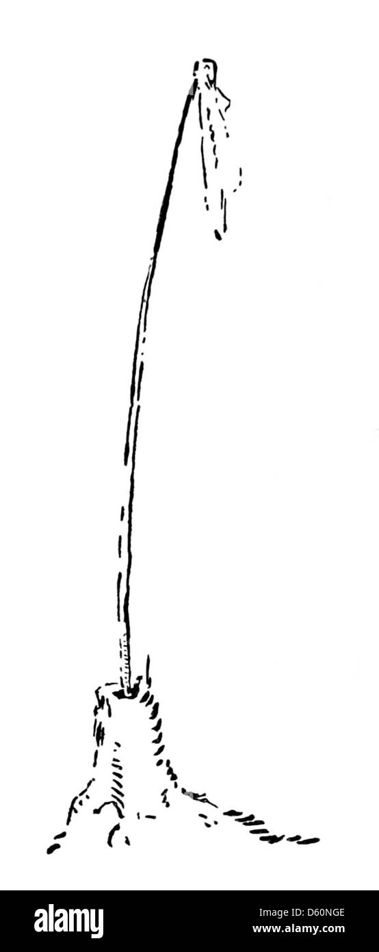 A second depiction of ‘Animal Heroes,’ focusing on heroic animals from ...