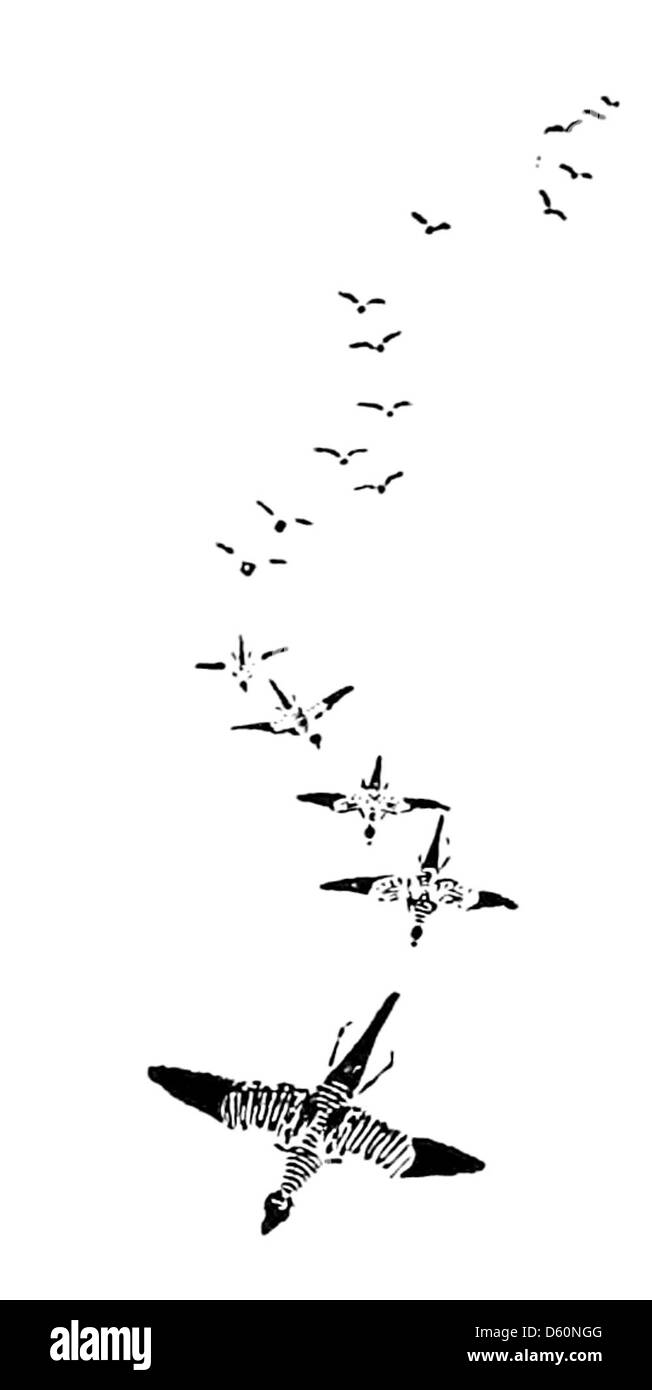 An illustration titled 'Animal Heroes' featuring birds, likely ...