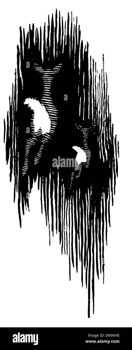 An illustration or image depicting 'Animal Heroes', likely inspired by ...