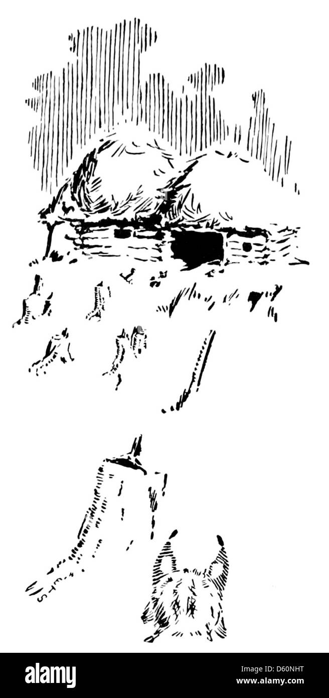 An image titled *Animal Heroes,* depicting animals in heroic roles ...