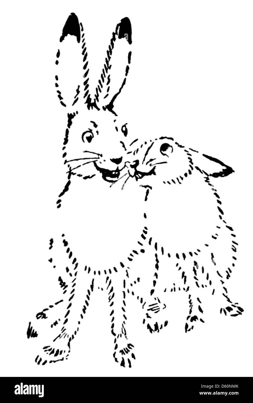 An illustration from 'Animal Heroes', depicting a hare and rabbit as ...