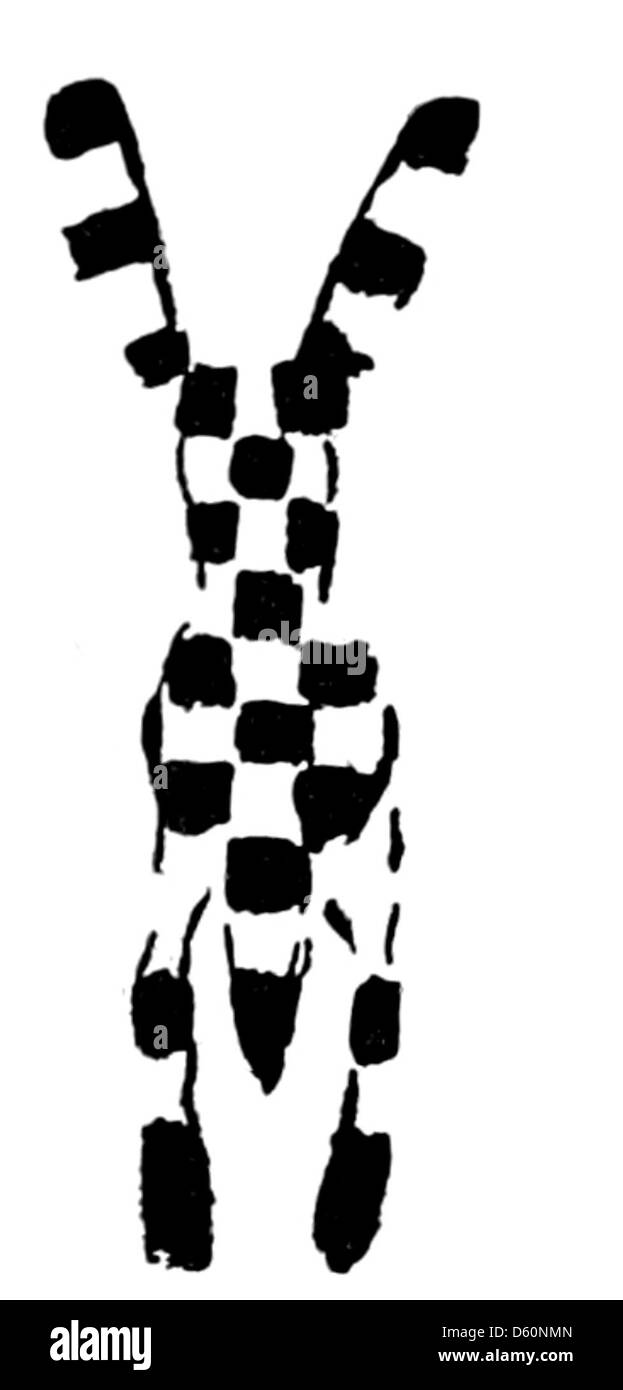 This image showcases a rabbit, featured as an 'animal hero,' a common ...