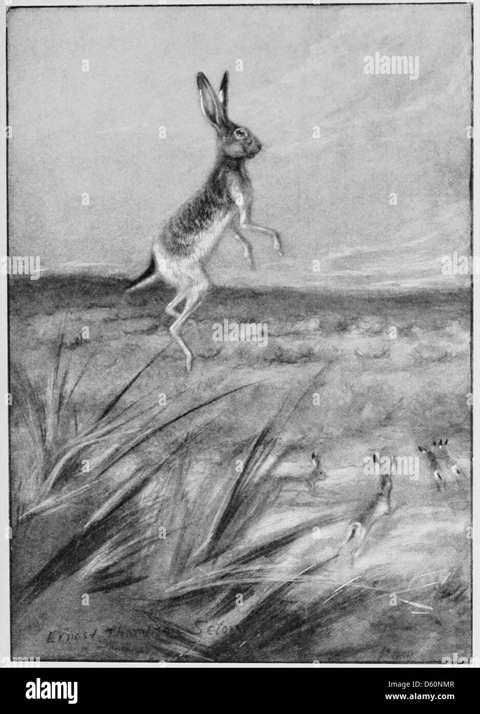 An illustration or photograph from a historical work focusing on heroic ...