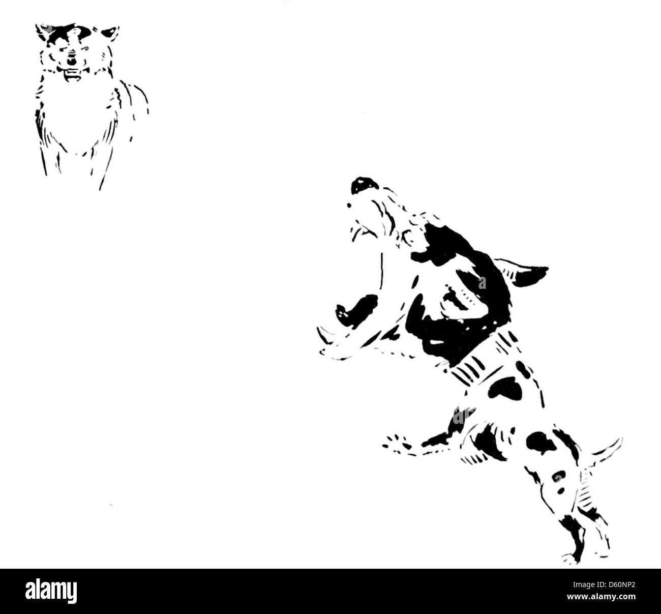 Ideal dog Black and White Stock Photos & Images - Alamy