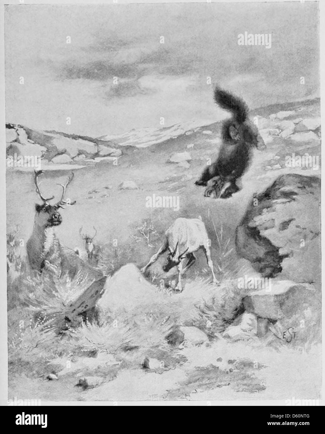 This photograph highlights two animals known for their roles in stories ...