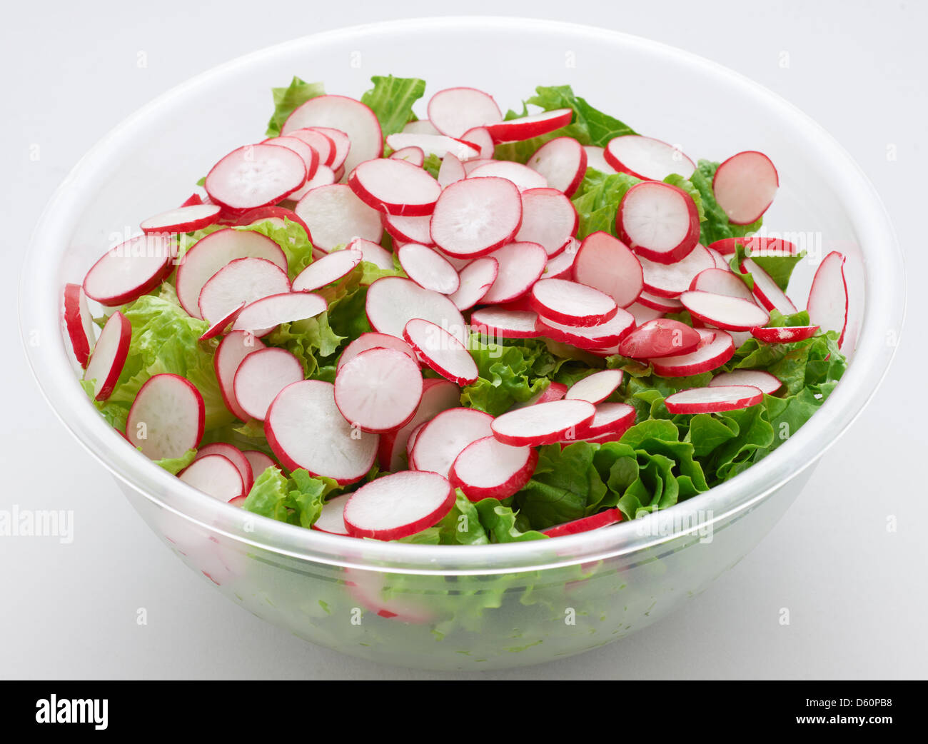 Green lettuce and red radish salad isolated with clipping path Stock ...