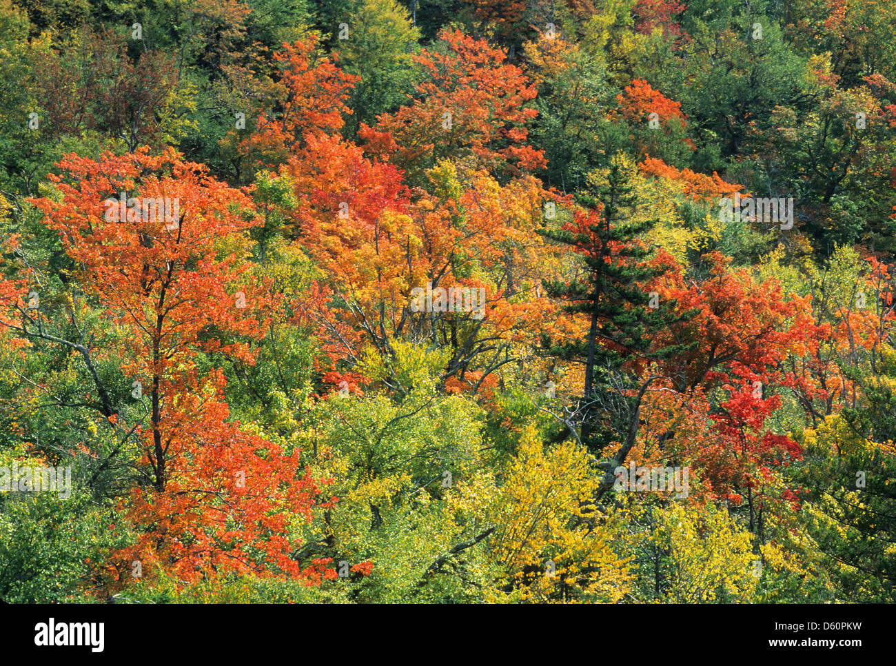 Colorful new hampshire hi-res stock photography and images - Alamy