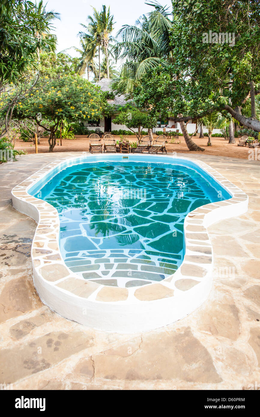 Swimming pool in African Garden Stock Photo - Alamy