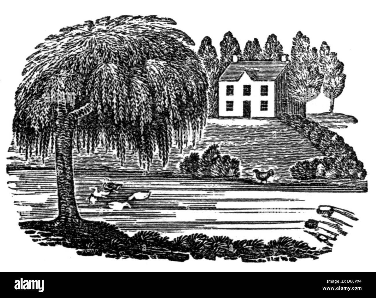 Rural house scene Cut Out Stock Images & Pictures - Alamy