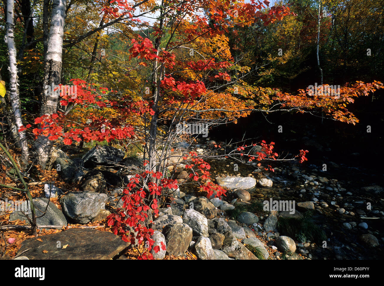 Colorful new hampshire hi-res stock photography and images - Alamy
