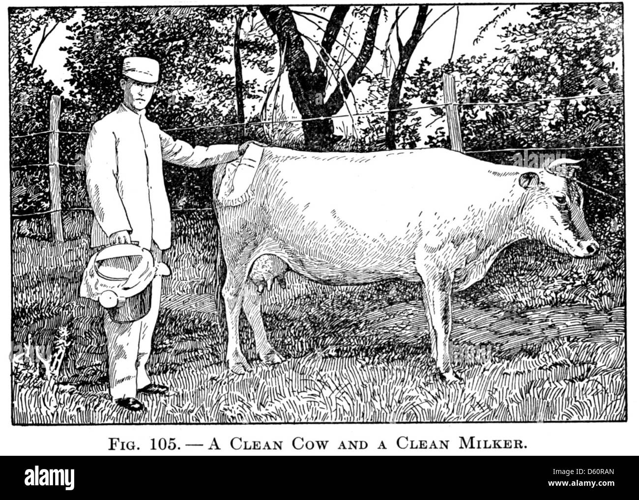 This image is from 'Physiology and Health' (1916) and illustrates the ...