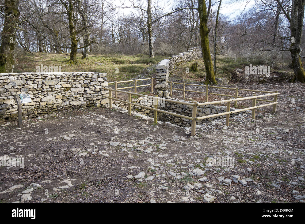 Old stone wolf trap where wolves were forced into the trap and would ...