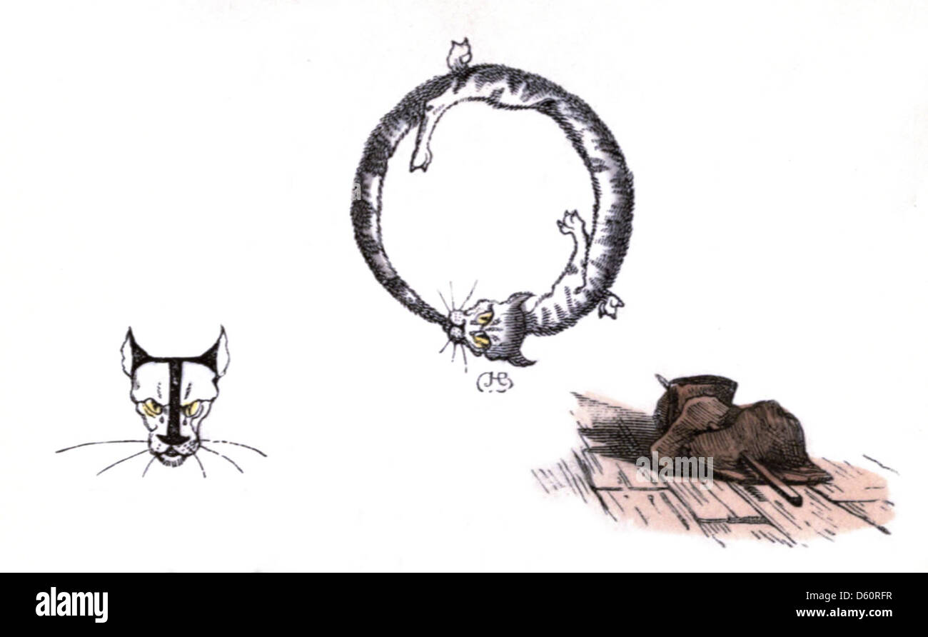 An illustration from the 1860 book The Nine Lives of a Cat: A Tale of ...