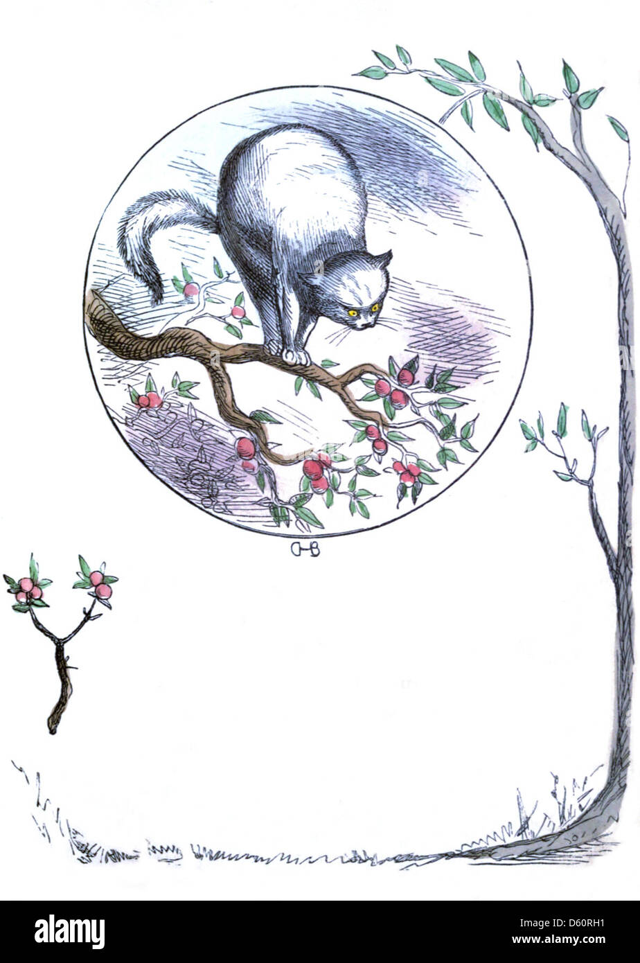 An 1860 illustration accompanying the tale 'The Nine Lives of a Cat ...
