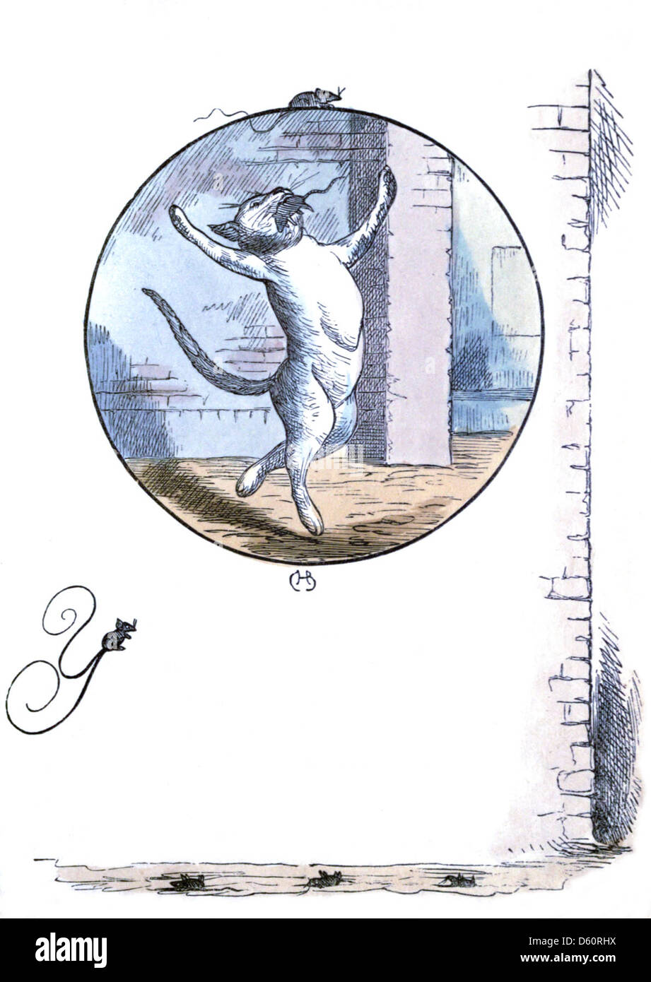 A 1860 illustration from *The Nine Lives of a Cat: A Tale of Wonder ...