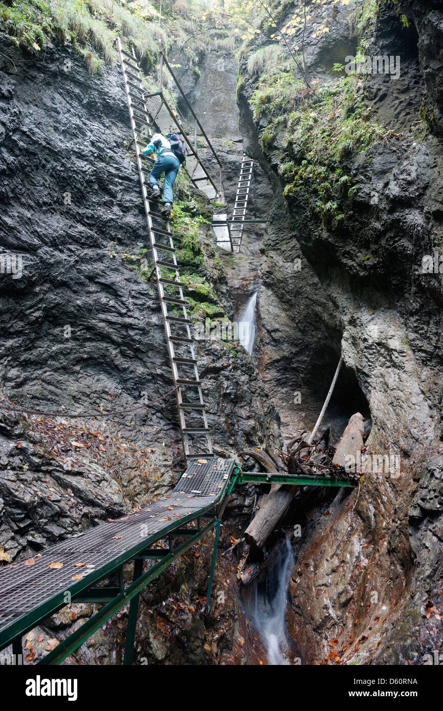 Women climbing ladders hi-res stock photography and images - Alamy