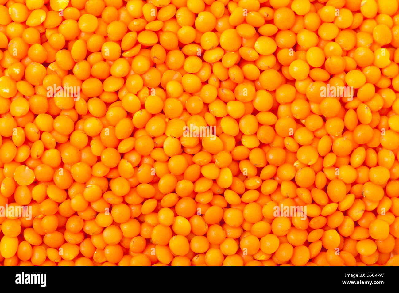 Backdrop of Orange Lentil Stock Photo - Alamy