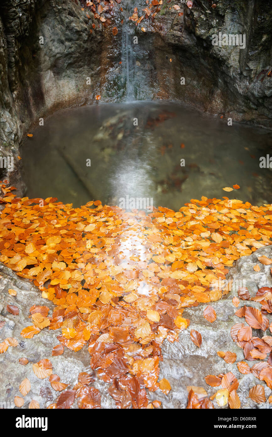 Slovensky raj national park hi-res stock photography and images - Alamy