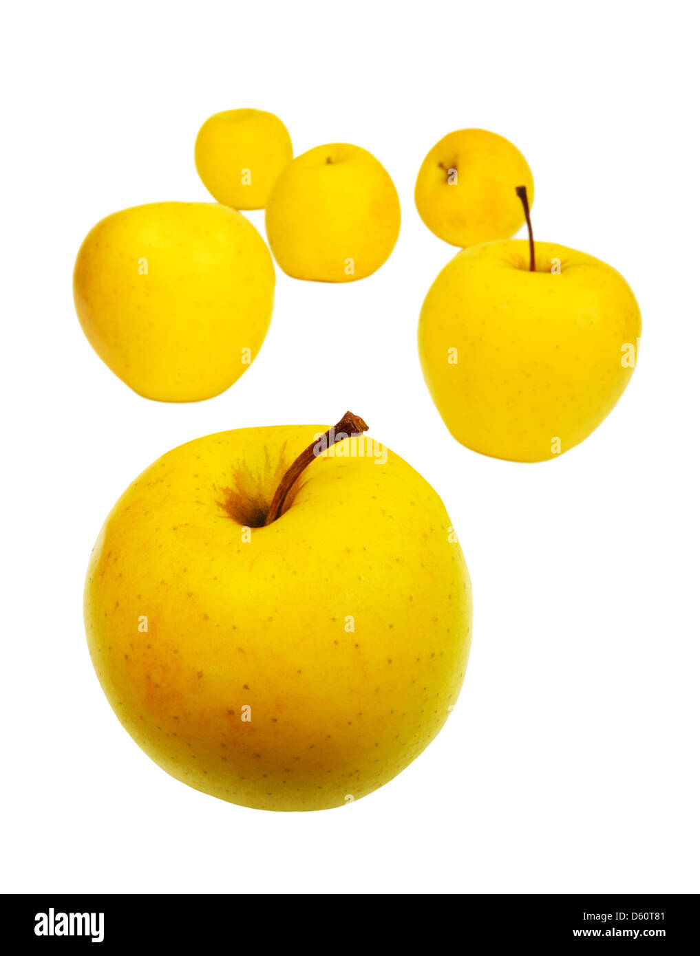 Yellow apples, isolated Stock Photo - Alamy