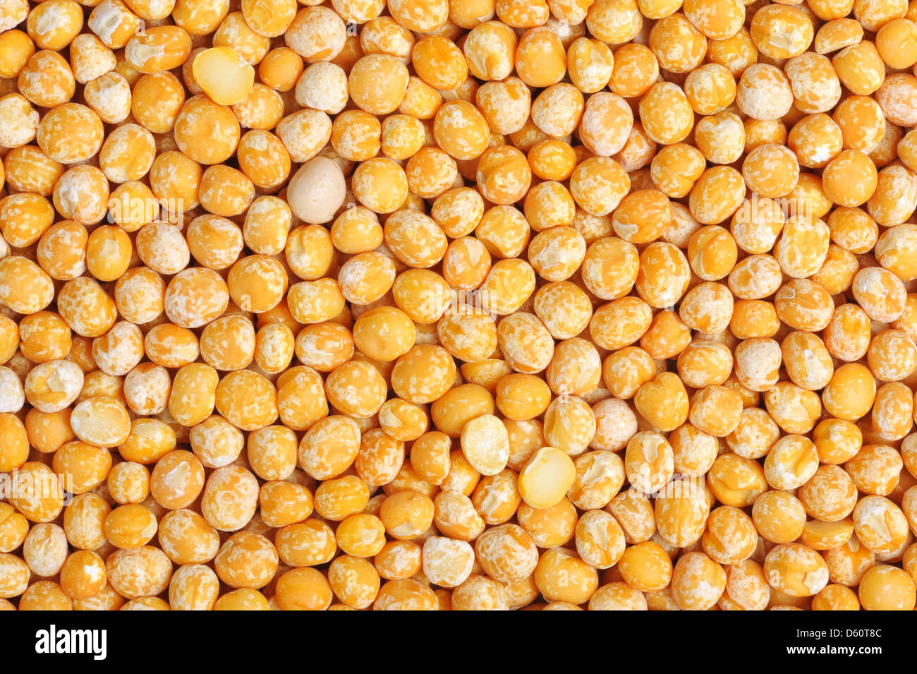 New pea plant hi-res stock photography and images - Alamy