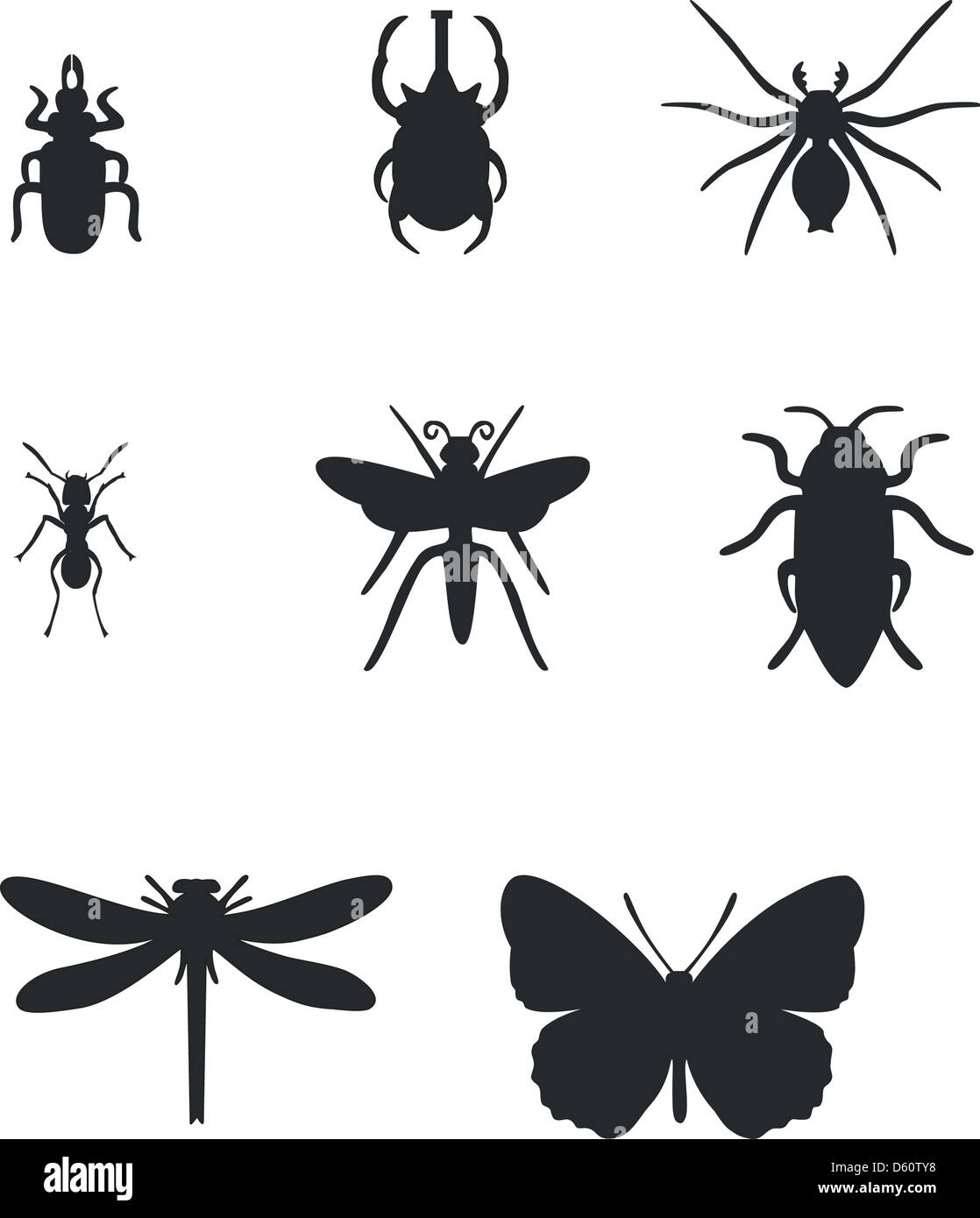 Insect set 01 Stock Photo - Alamy