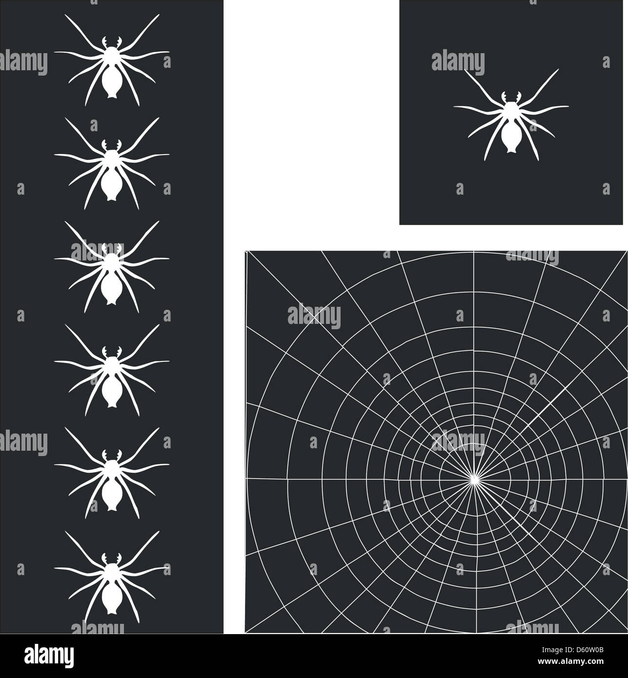 web spider 01 Stock Photo - Alamy