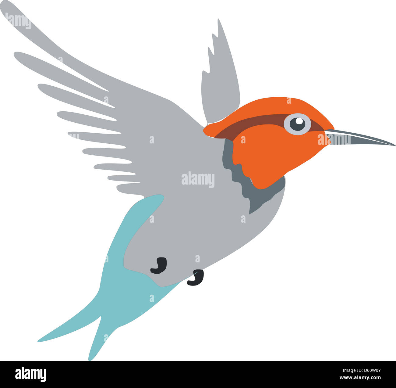 S colibrí hi-res stock photography and images - Alamy